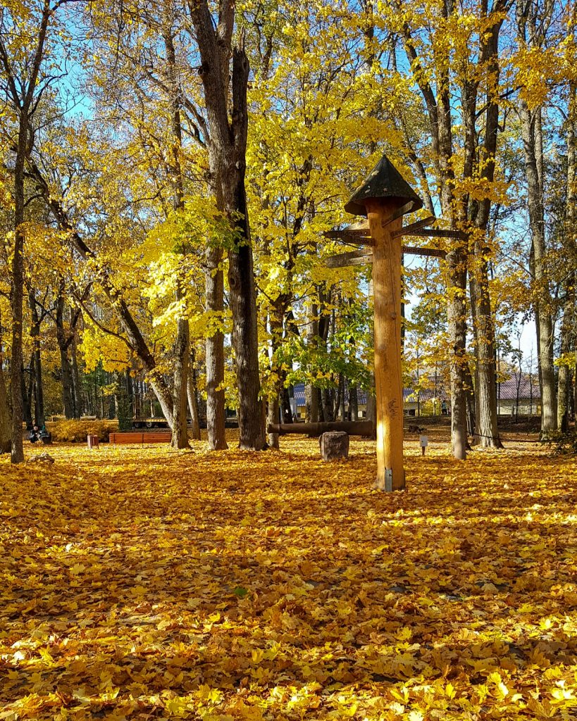 Autumn in Ogre and Koknese: an off-track route for those who are tired ...