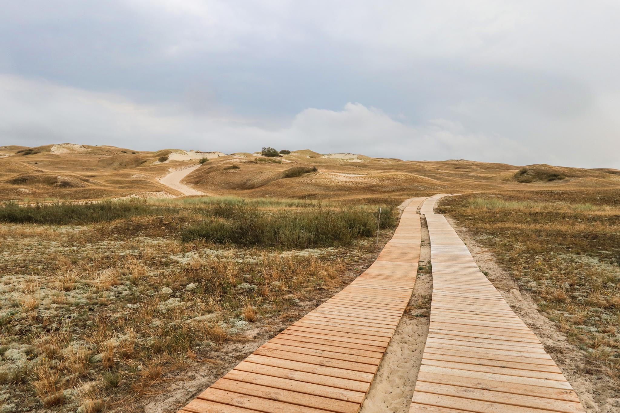 The Gray Dunes, or the Dead Dunes