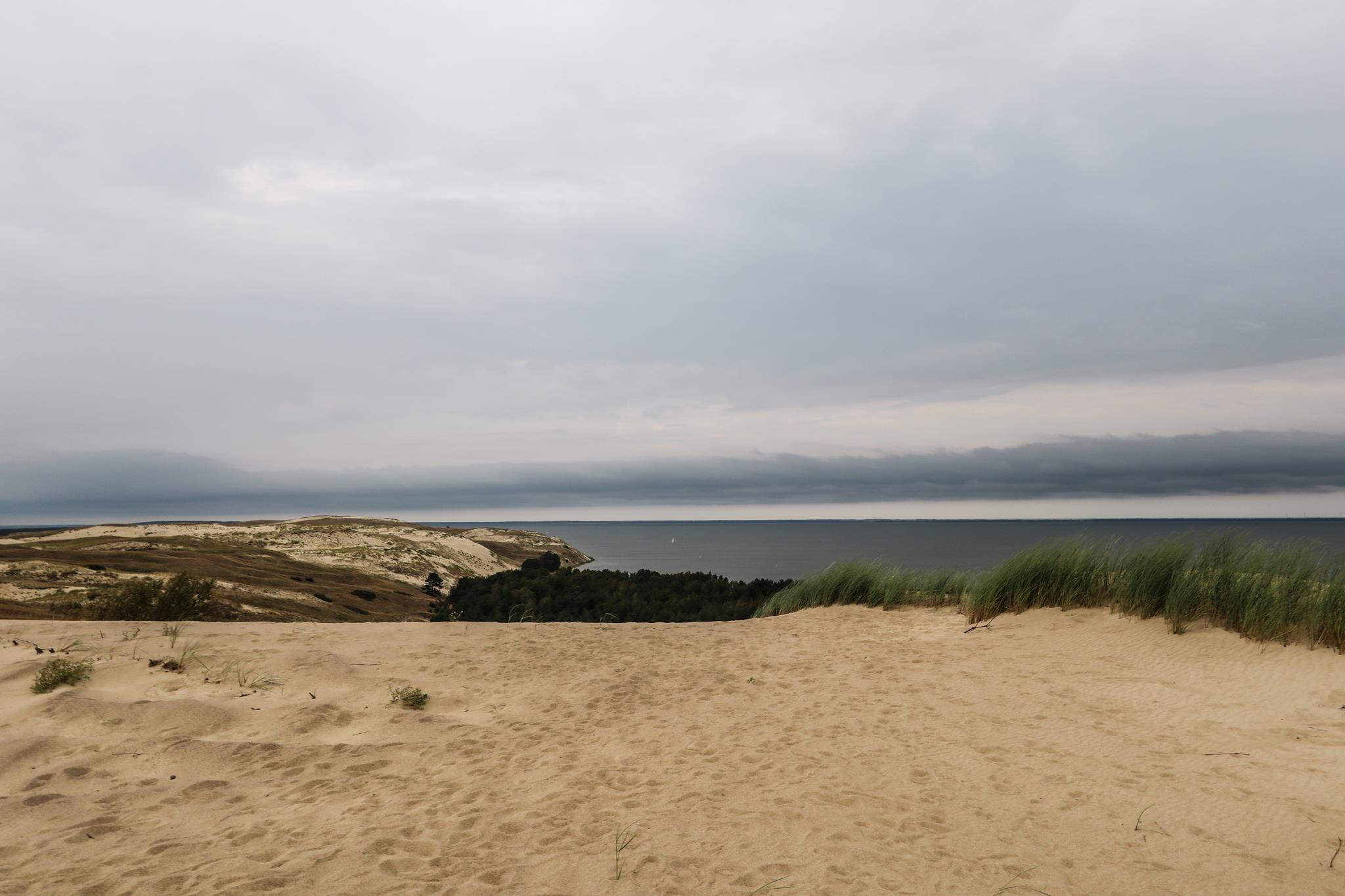 Hallid düünid või Surnud düünid