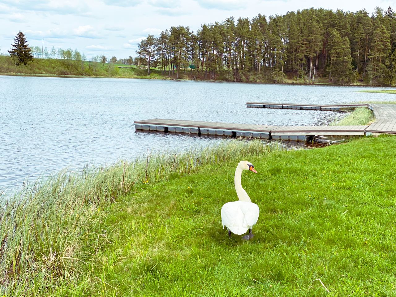 Tepera ezers un vecais parks. Smiltene, Latvija