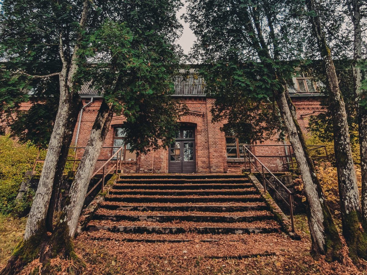 Liepu aleja pie Katvaru muižas. Latvija