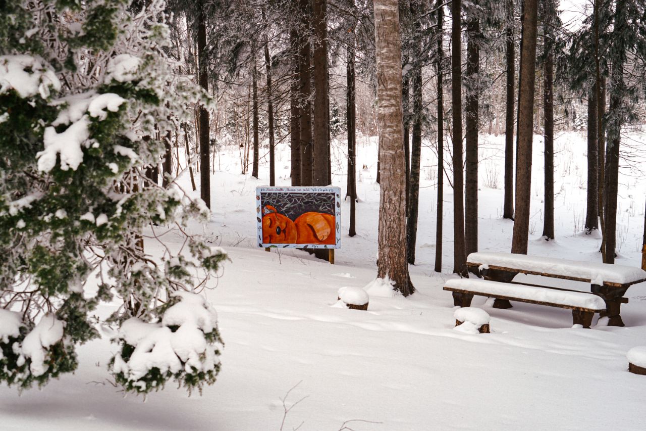 Kārļa Skalbes memoriālais muzejs “Saulrieti”. Latvija