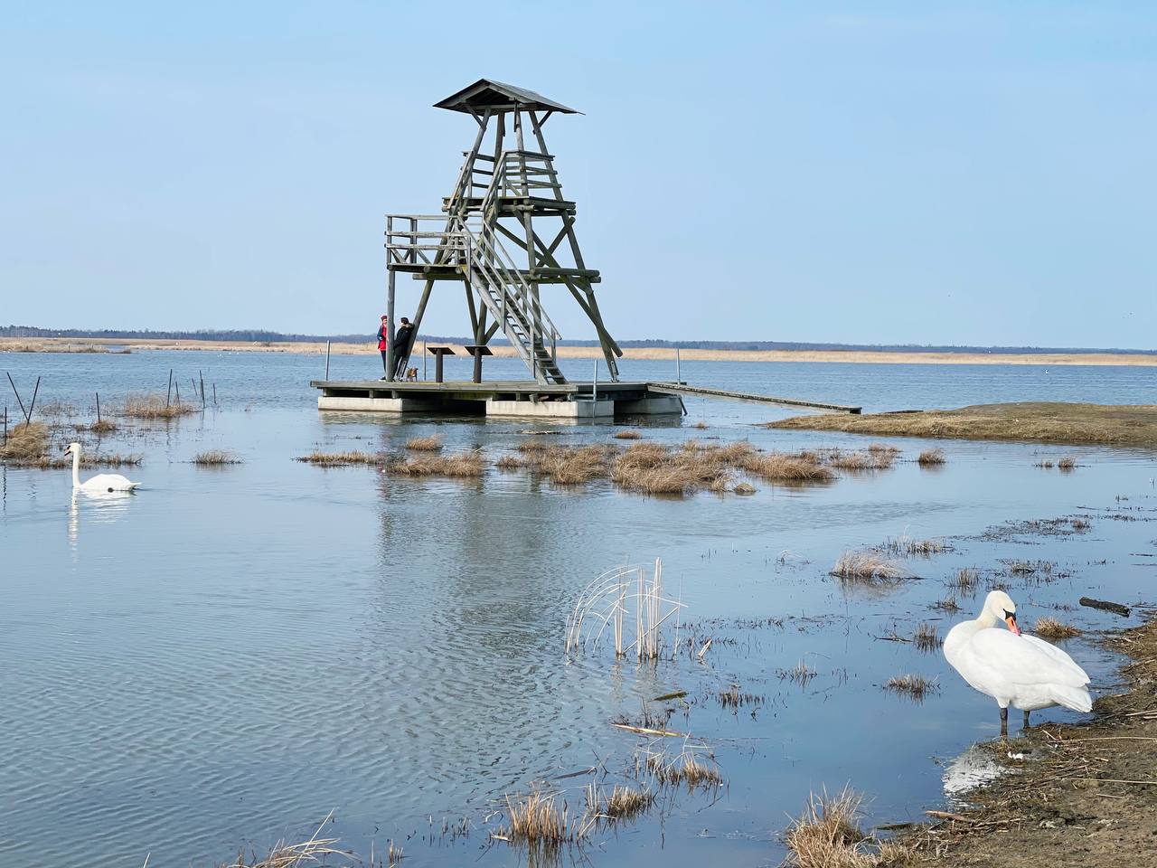 Engurės ežero gamtos parkas