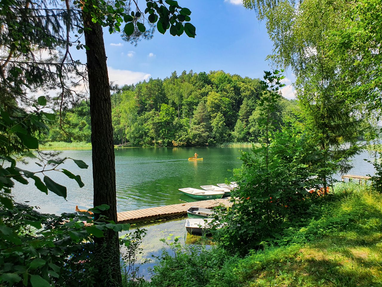 Green lakes in Vilnius, Lithuania