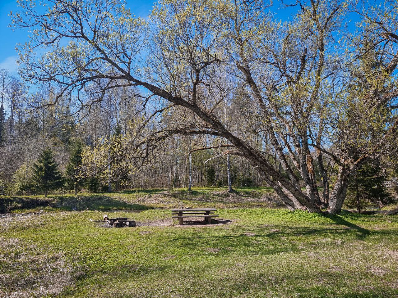 Žvartės skardis. Latvija