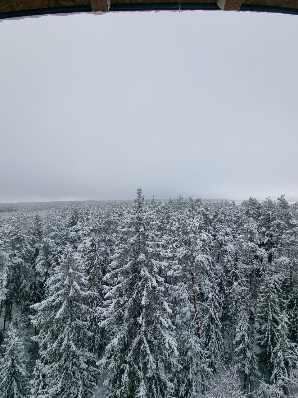 Dabas liegums “Lielie Kangari”. Ropažu rajons, Latvija