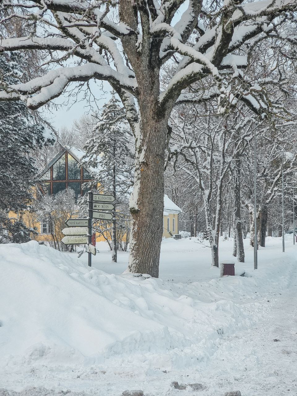 Padise Monastery, Estonia