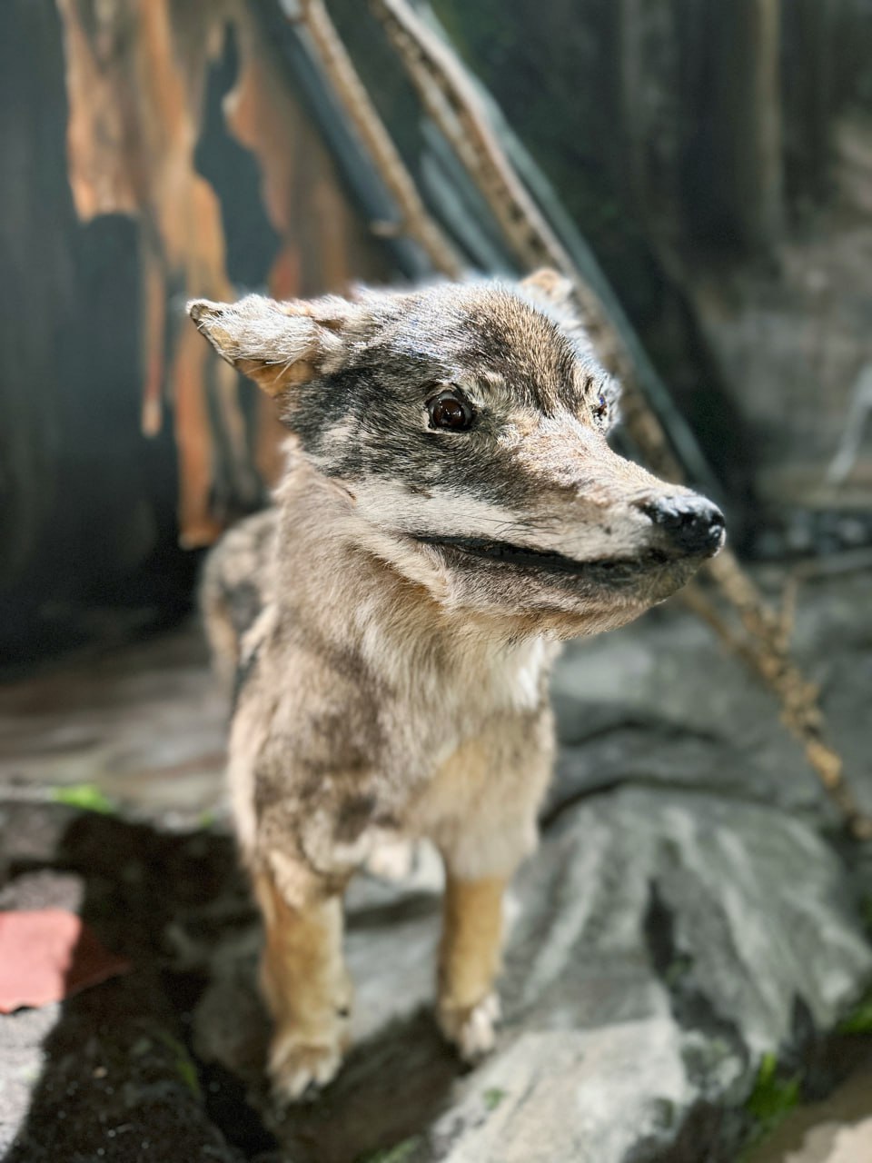 Pärnu State Museums: Pärnu Museum, Lydia Koidula Museum, and Red Tower