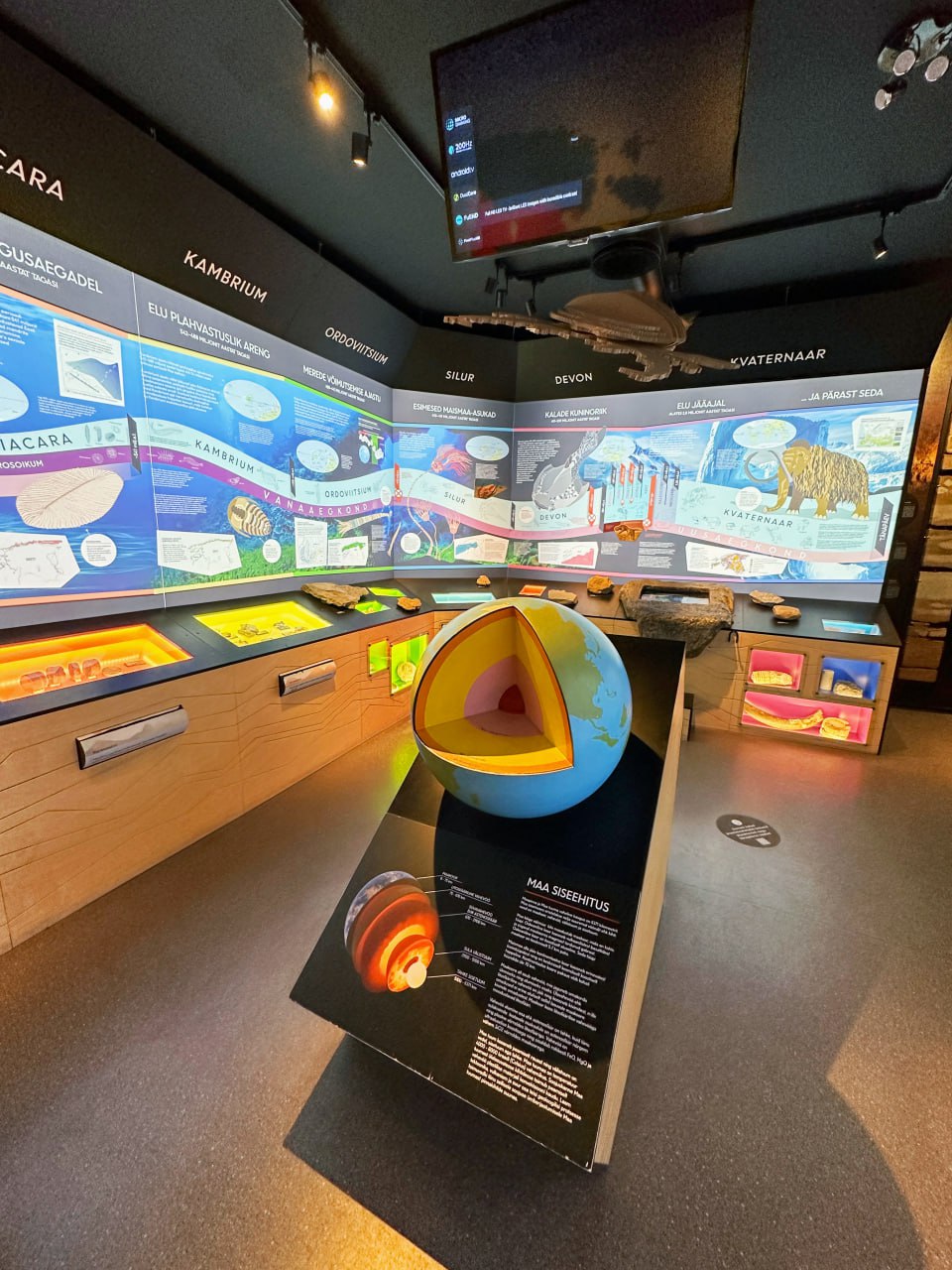 Loodusmuuseum. Tallinn, Eesti