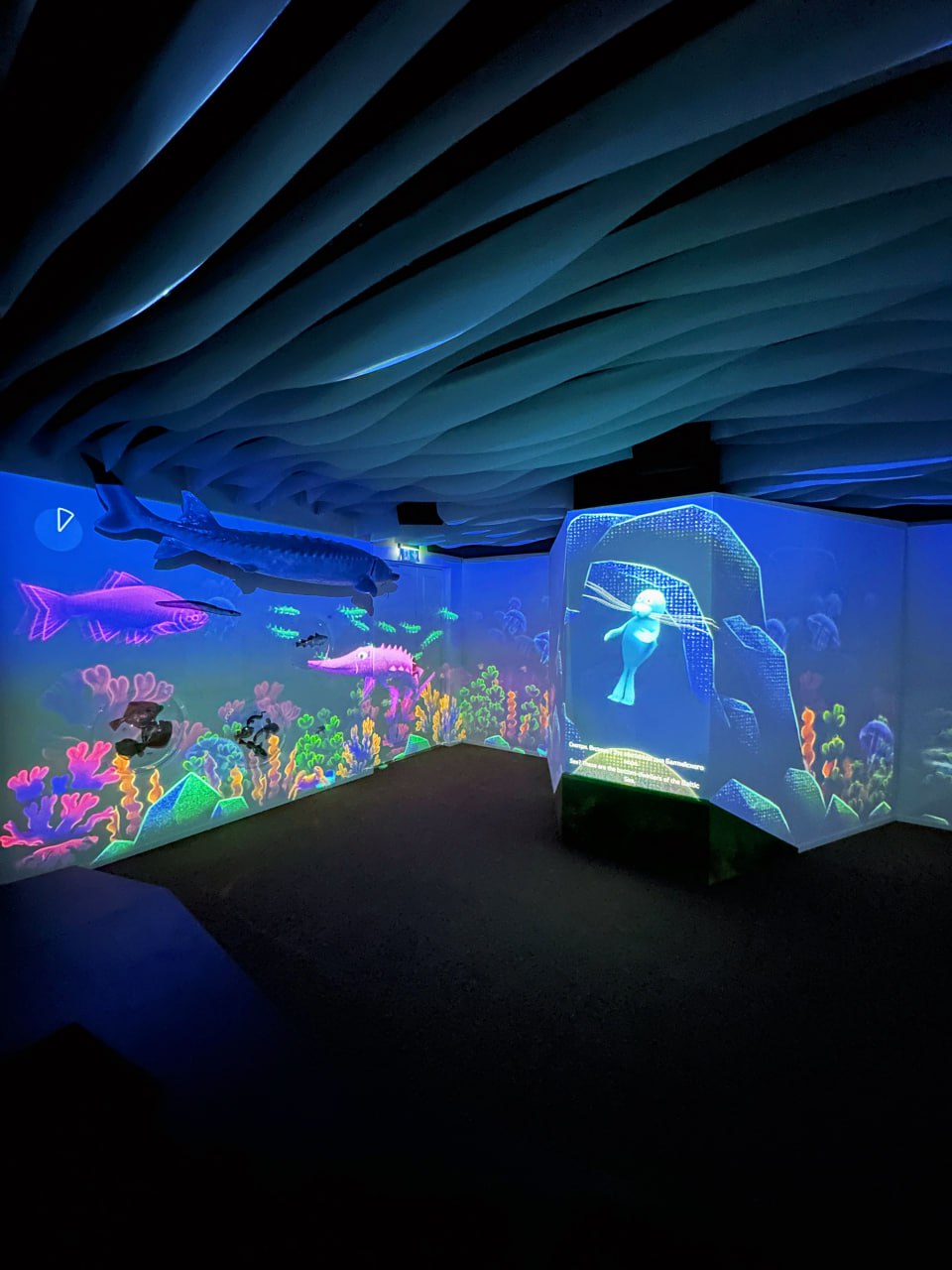 Loodusmuuseum. Tallinn, Eesti