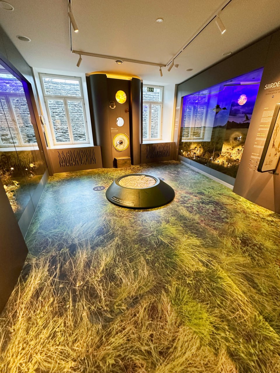 Loodusmuuseum. Tallinn, Eesti