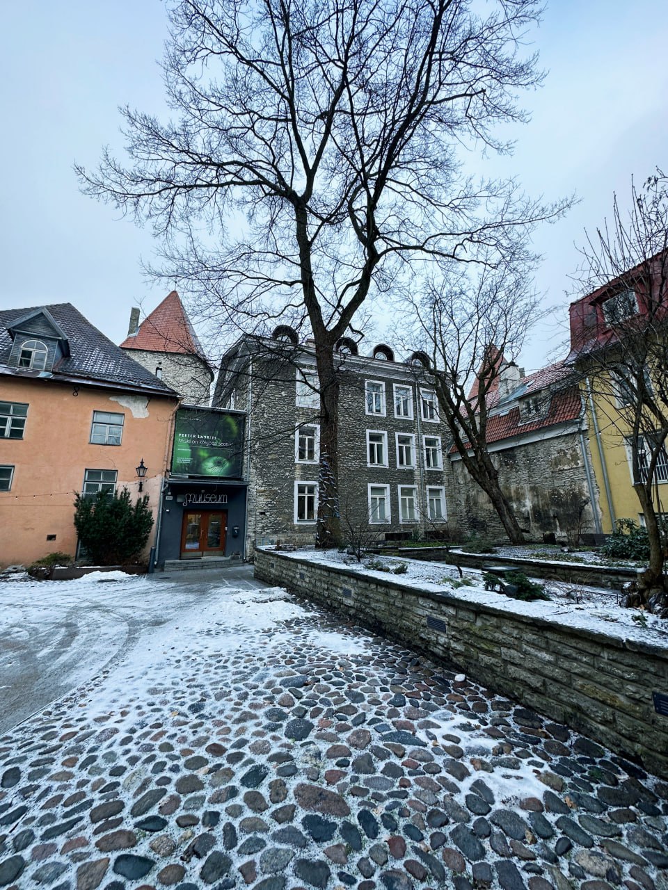 Loodusmuuseum. Tallinn, Eesti