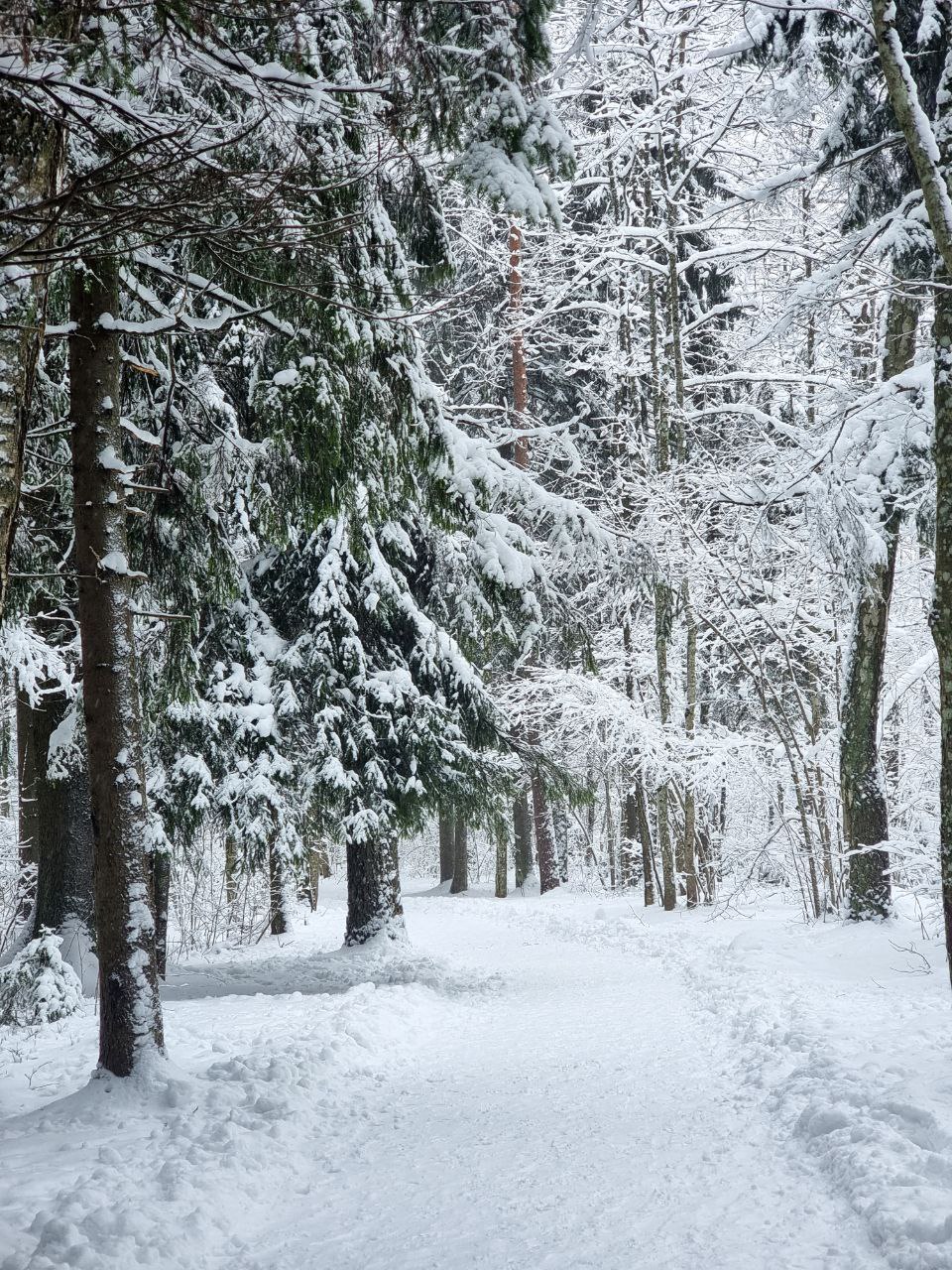 Paradise Mountain (Artists’ Mountain), Latvia
