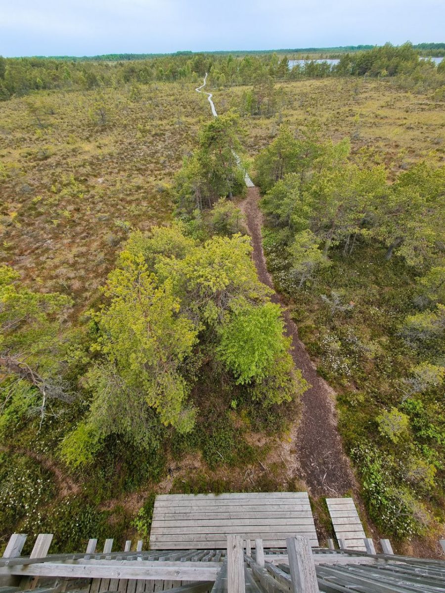 Top 10 places for a nice walk in the Baltic States