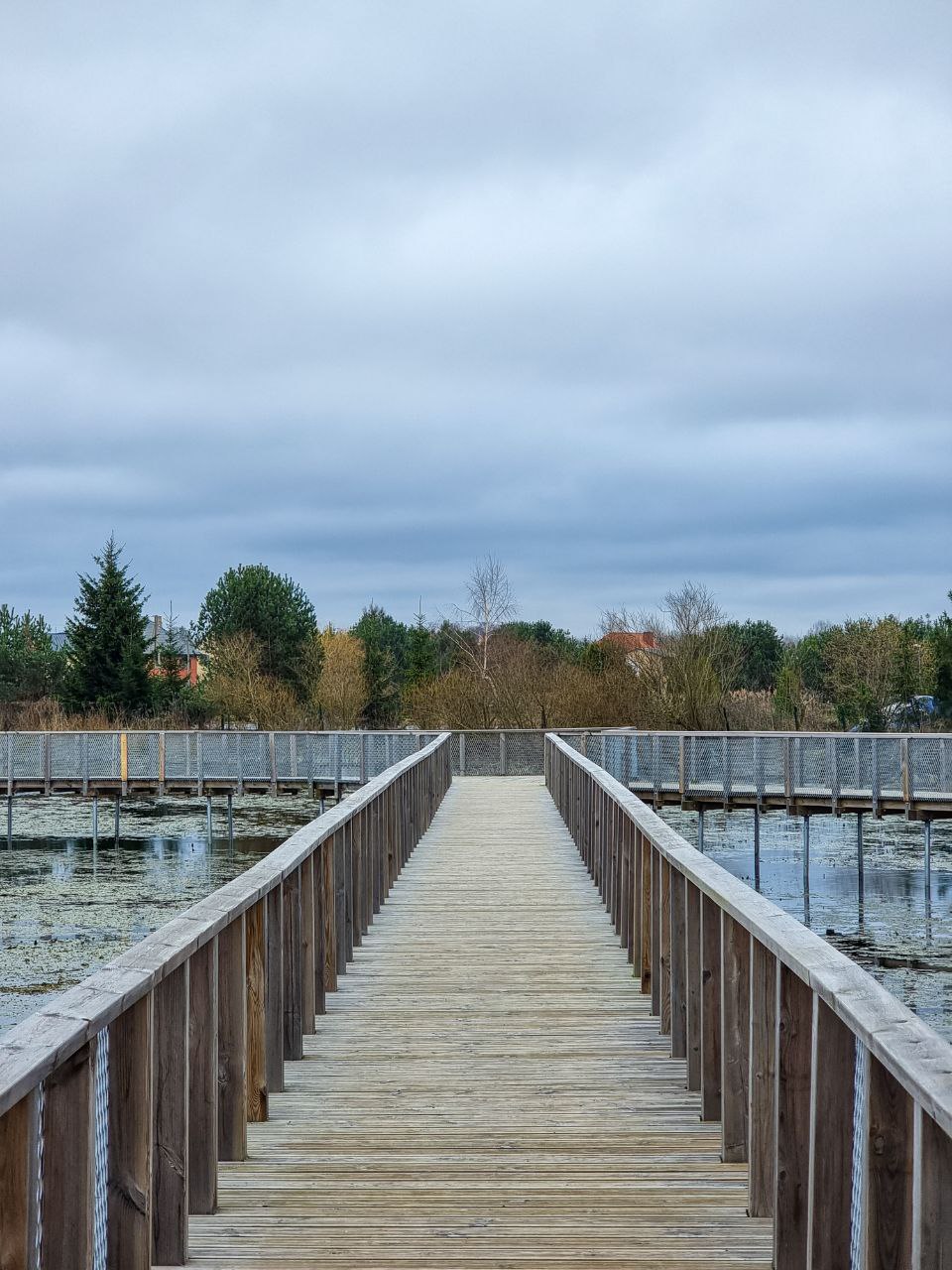 Miezite Pond in Jelgava, Latvia