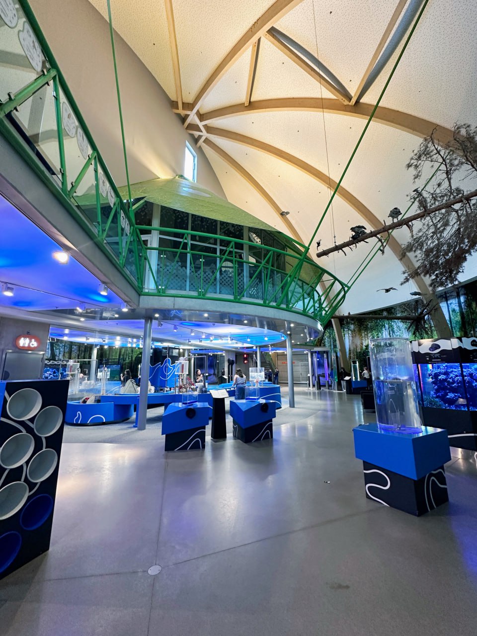 AHHAA Science Centre. Tartu, Estonia