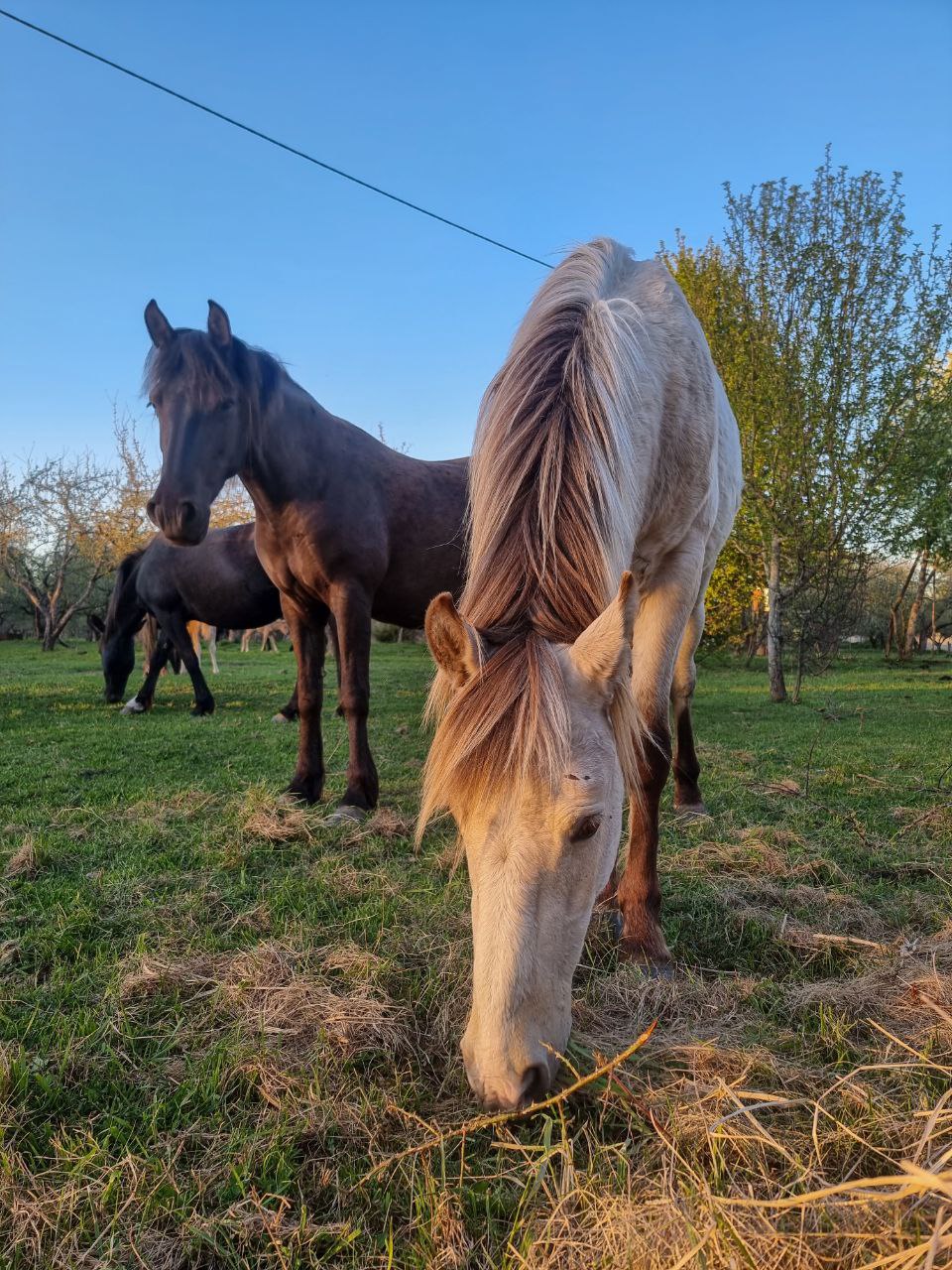 Top 10 locations on Hiiumaa Island in Estonia