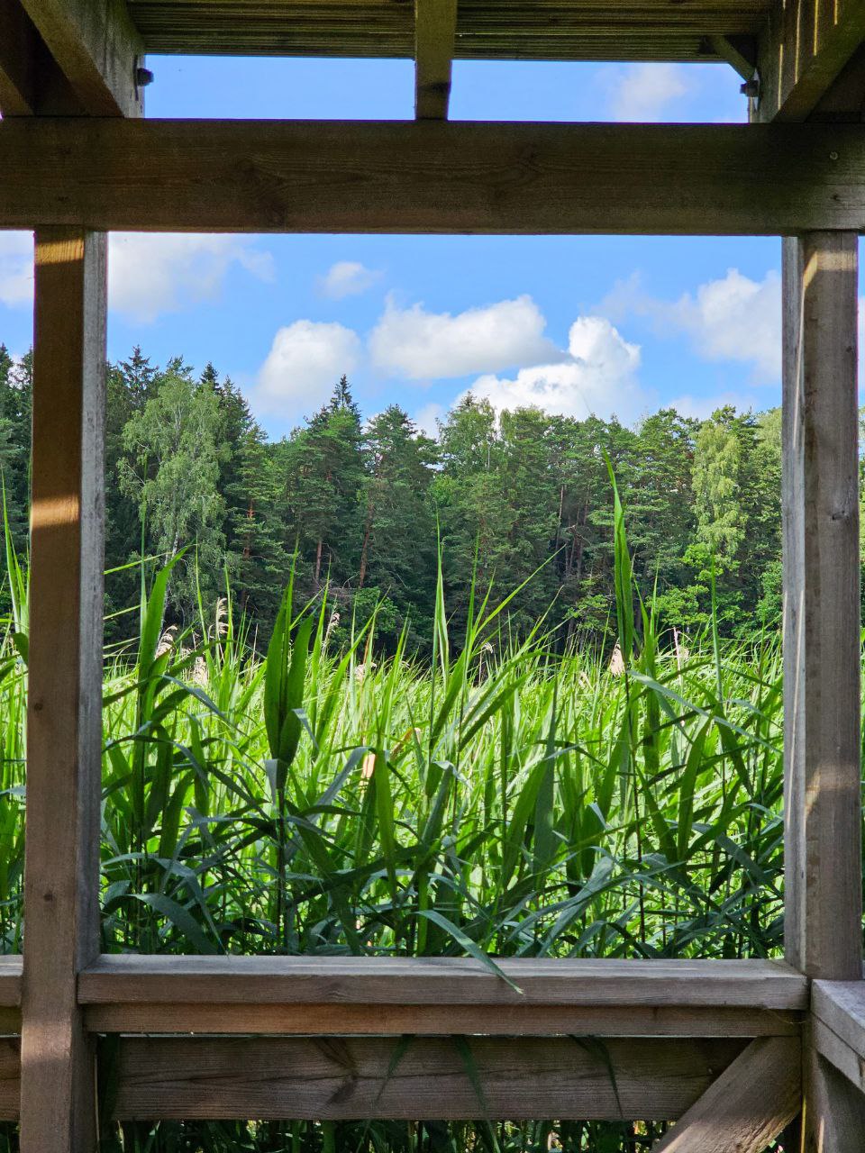 Kazdangas nature trail, Latvia