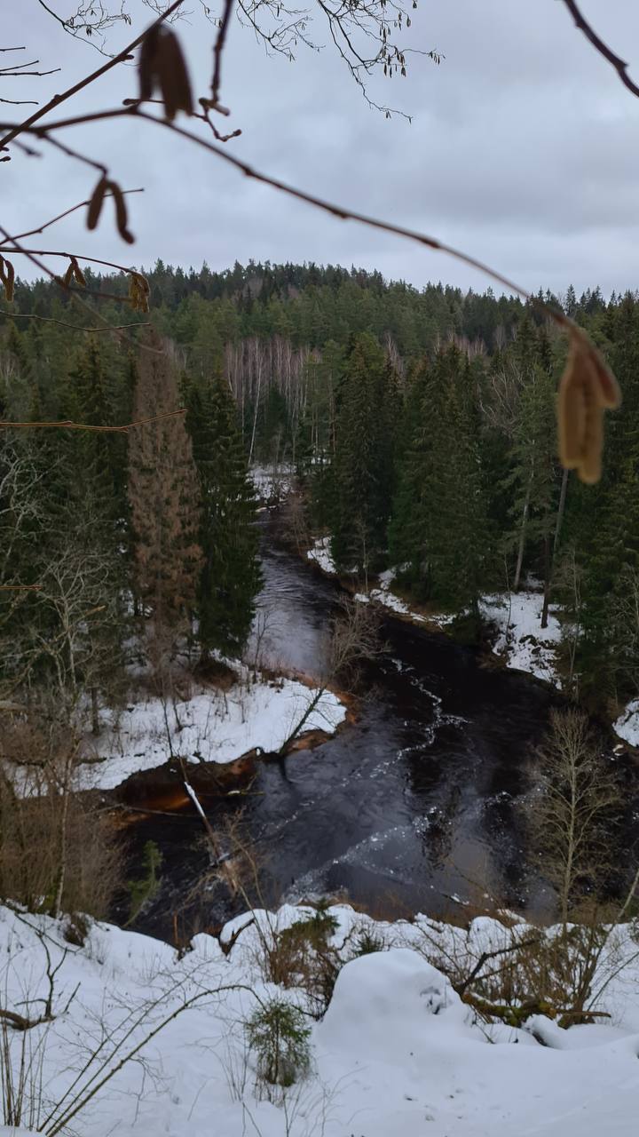 Brasla jõe rada. Läti