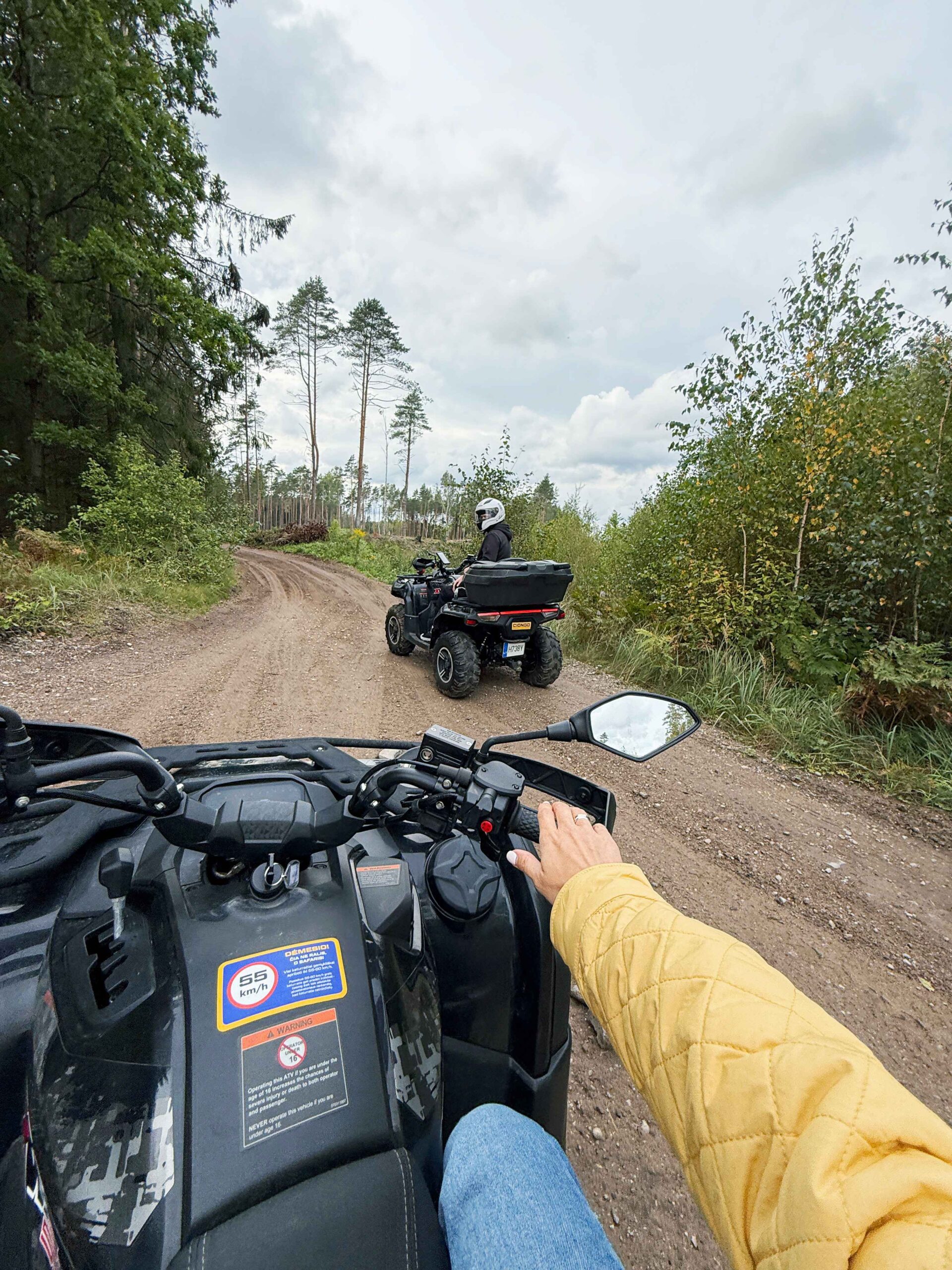 TAILS restaurant. Riga, Latvia